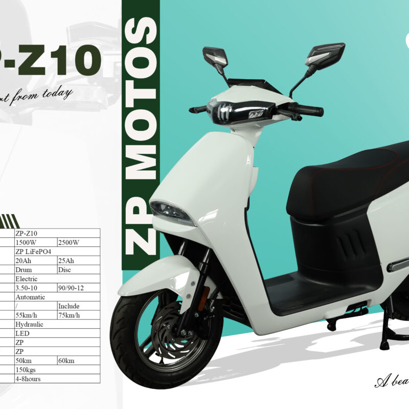 1500W Archives - ZP MOTOS